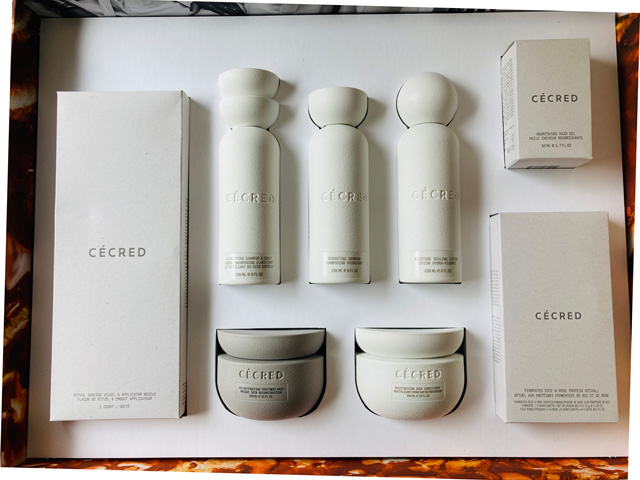 I’ve Got Locs and I tried Beyonce’s New Cécred Products
