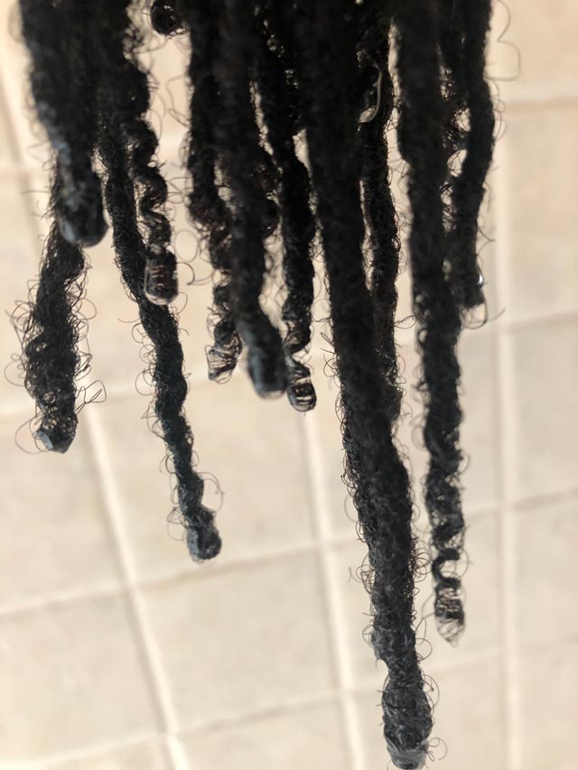 I’ve Got Locs and I tried Beyonce’s New Cécred Products